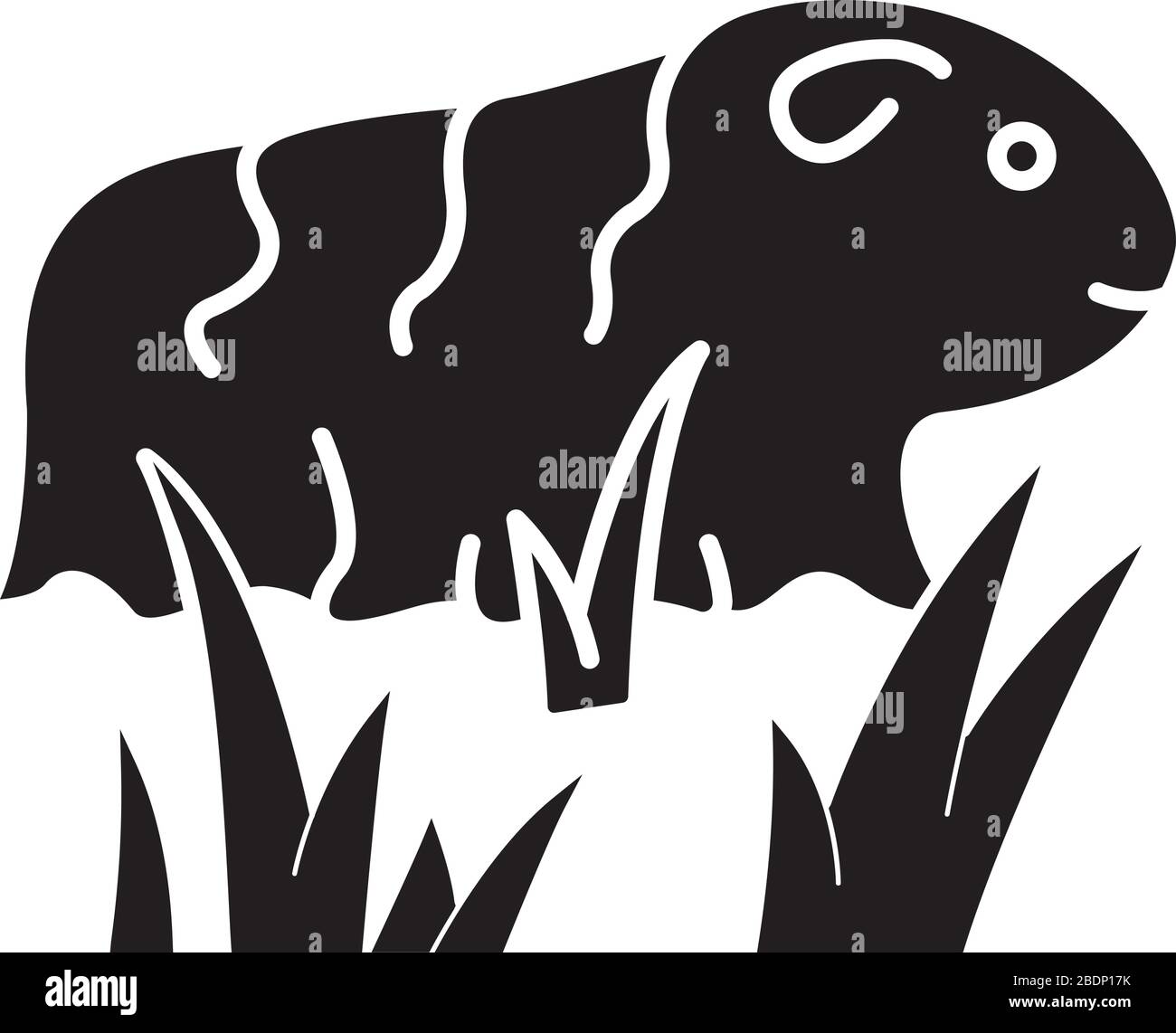 Cavia porcellus peruvian Stock Vector Images - Alamy