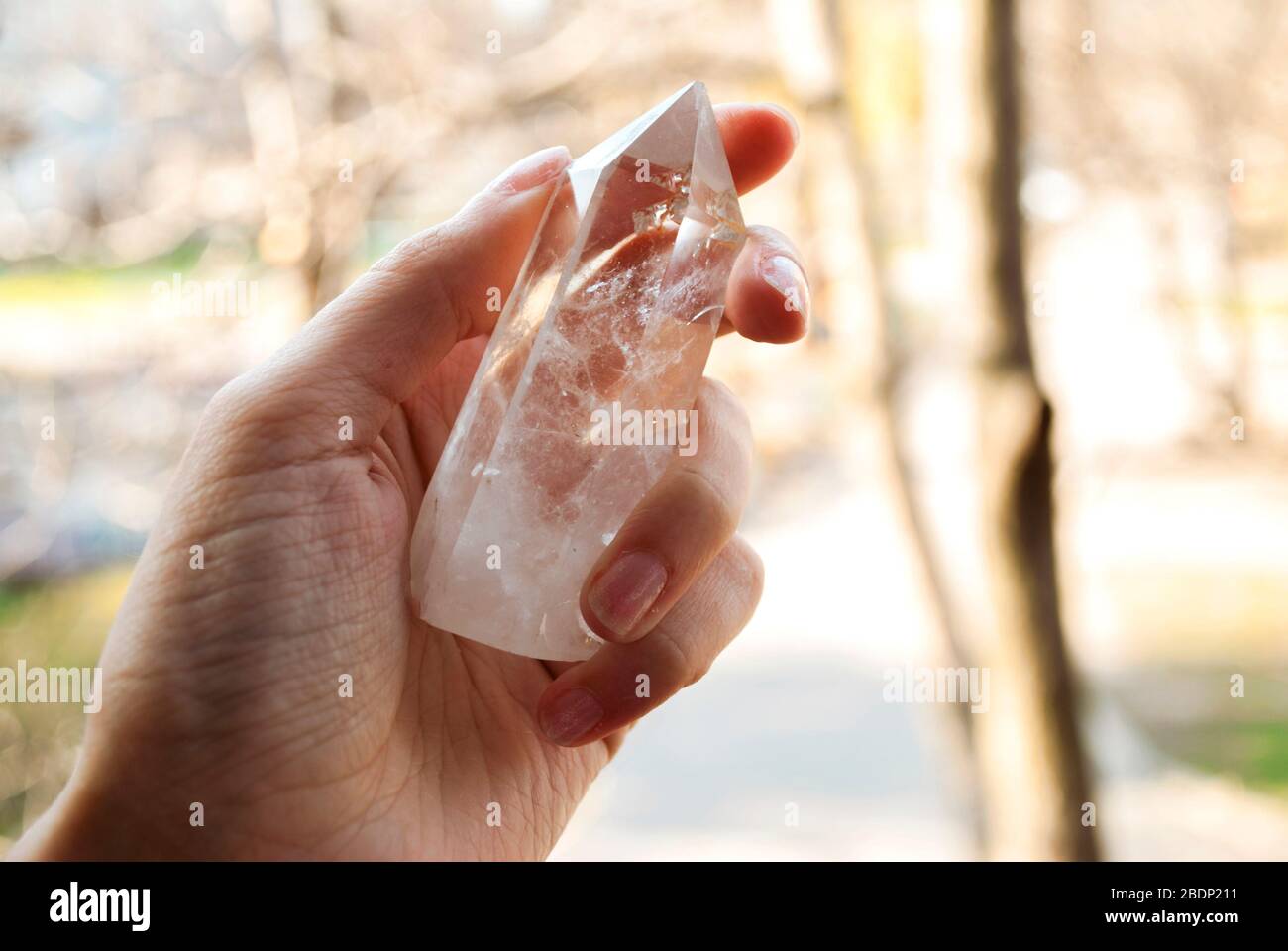 Transparent crystal of mountain quartz in a hand Stock Photo - Alamy