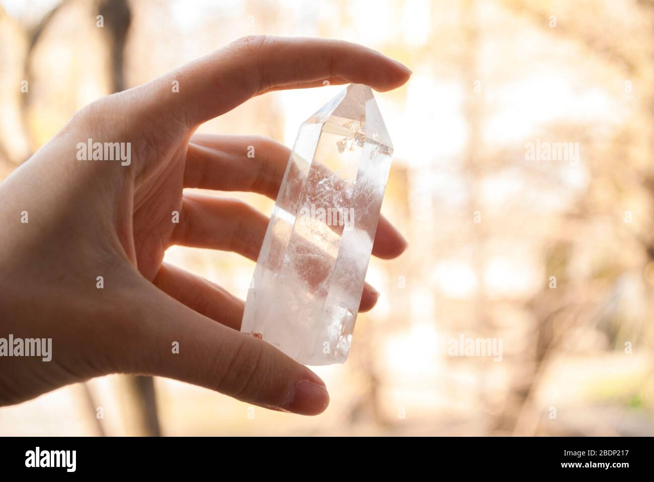 Transparent crystal of mountain quartz in a hand Stock Photo - Alamy
