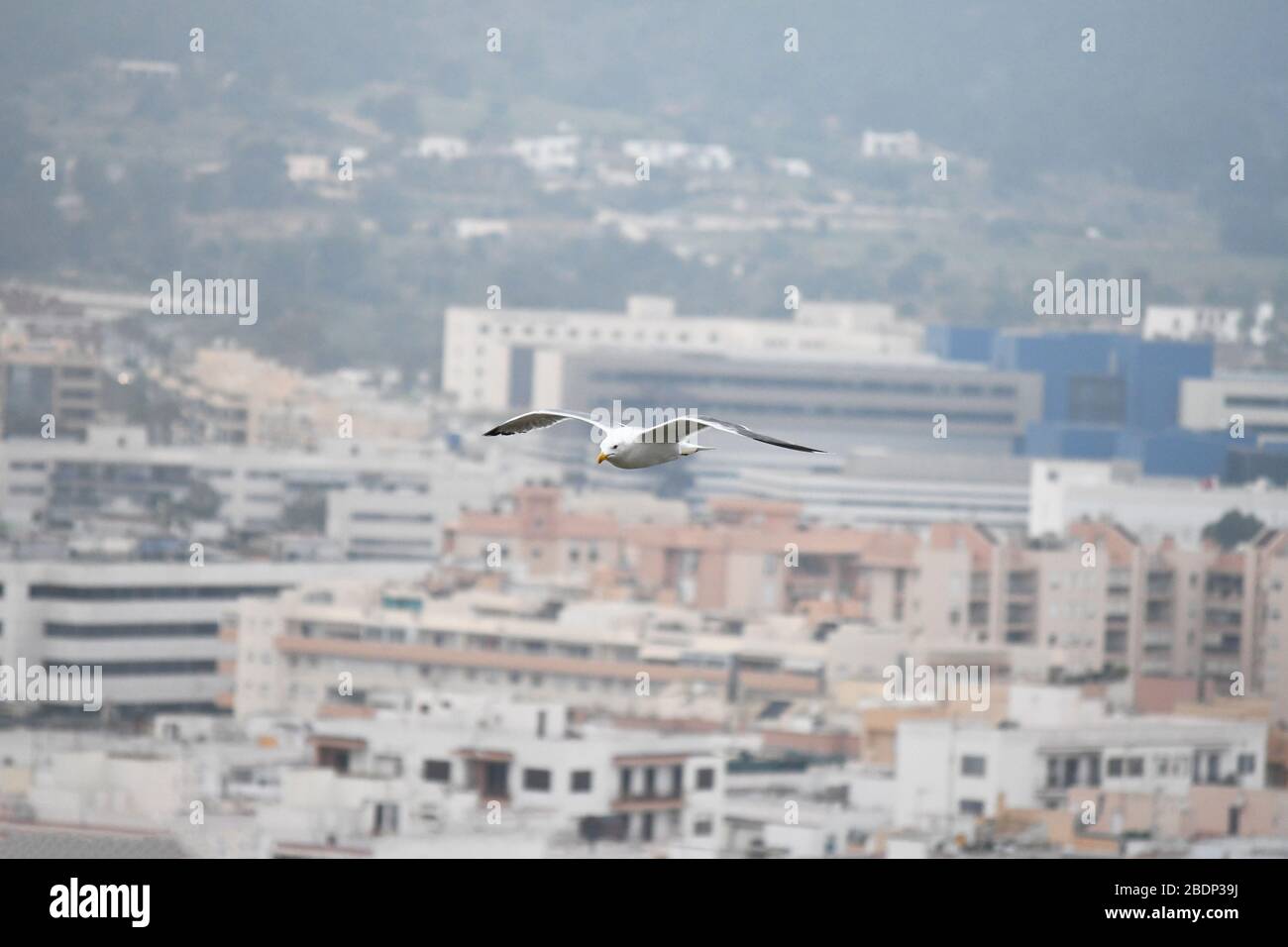 Flying to ibiza hi-res stock photography and images - Alamy