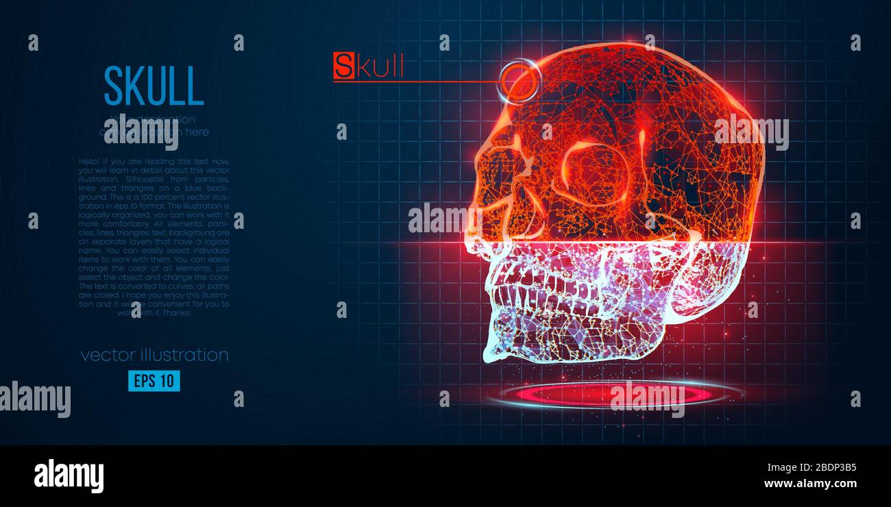 Abstract silhouette of the polygonal skull of human. Scanning, research ...