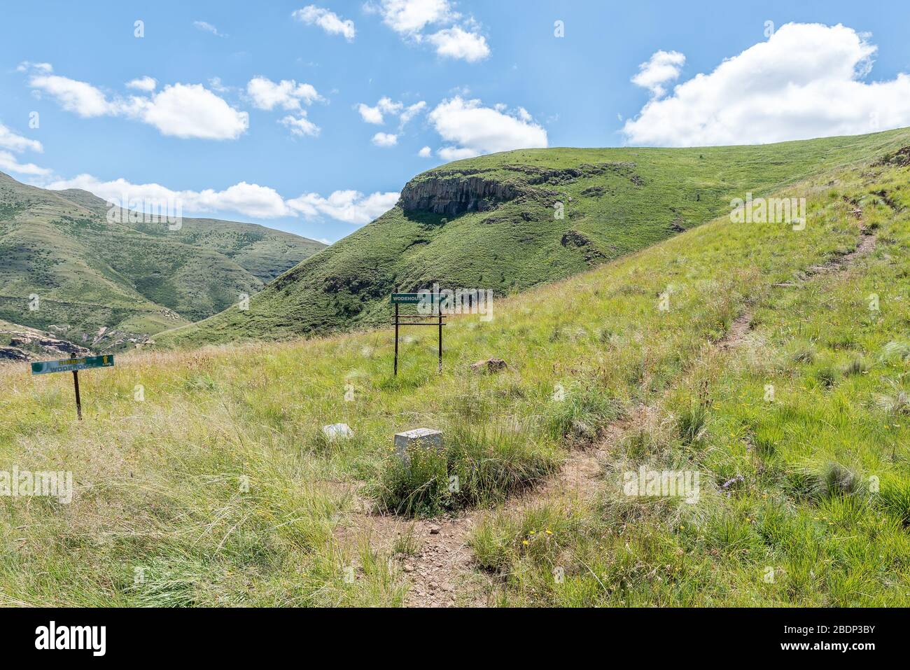 Ribbok hi-res stock photography and images - Alamy