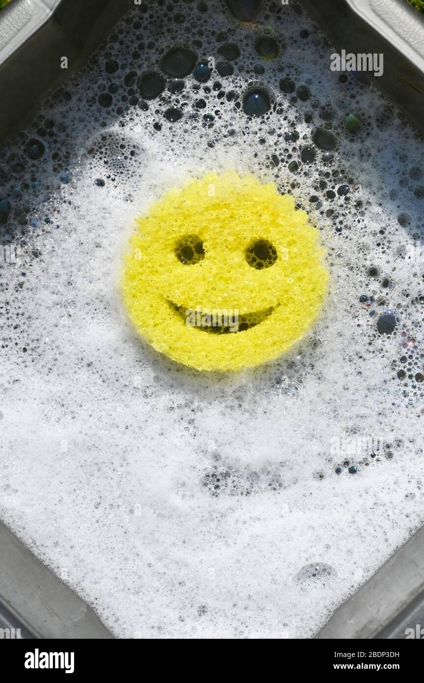 Scrub Daddy cleaning sponge Stock Photo - Alamy