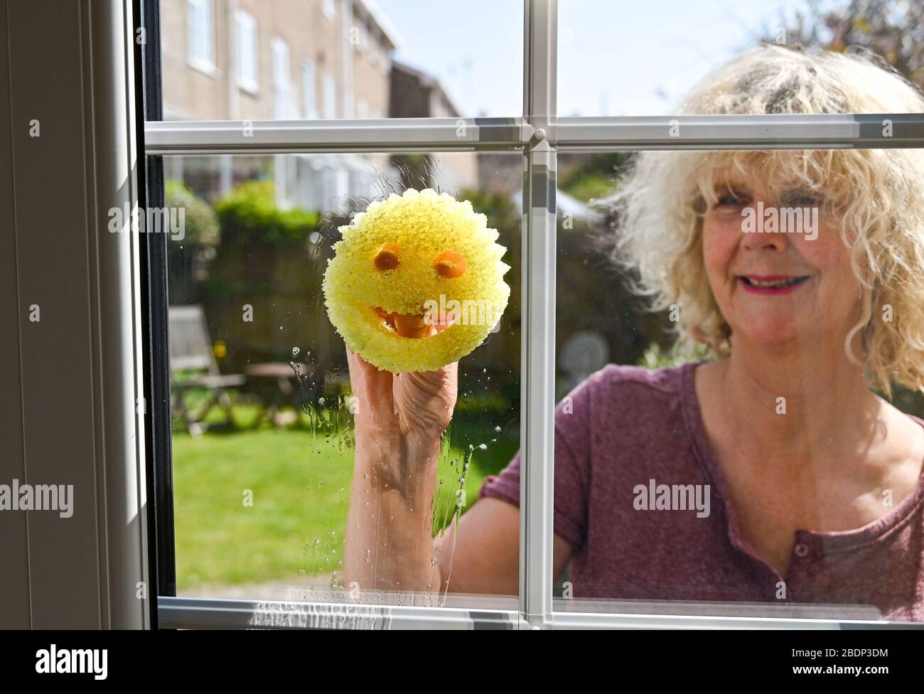 Scrub daddy hi-res stock photography and images - Alamy
