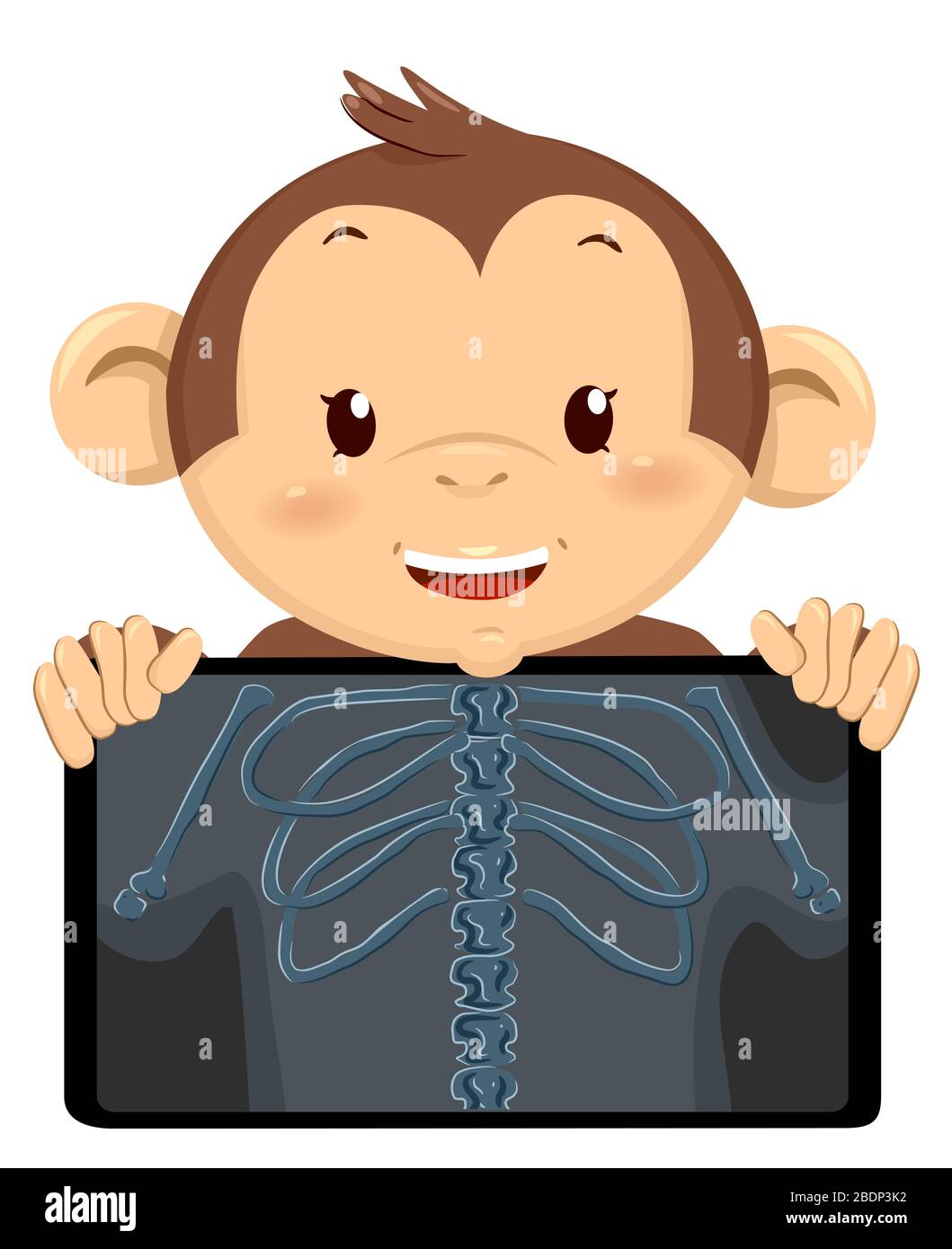 Illustration of a Monkey Mascot Holding a Bone Xray Stock Photo - Alamy