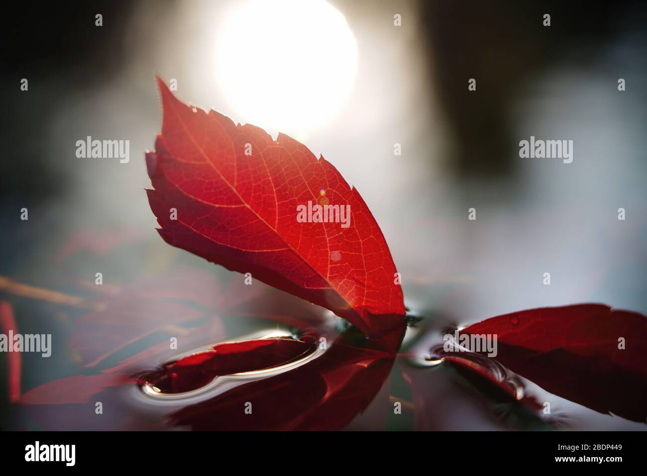 Boston water front hi-res stock photography and images - Alamy