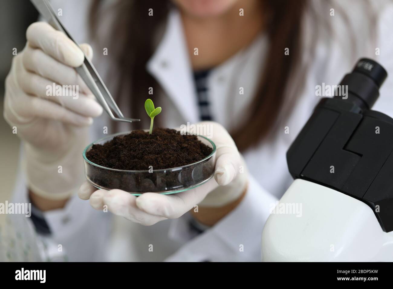 Lab research with greenery Stock Photo - Alamy