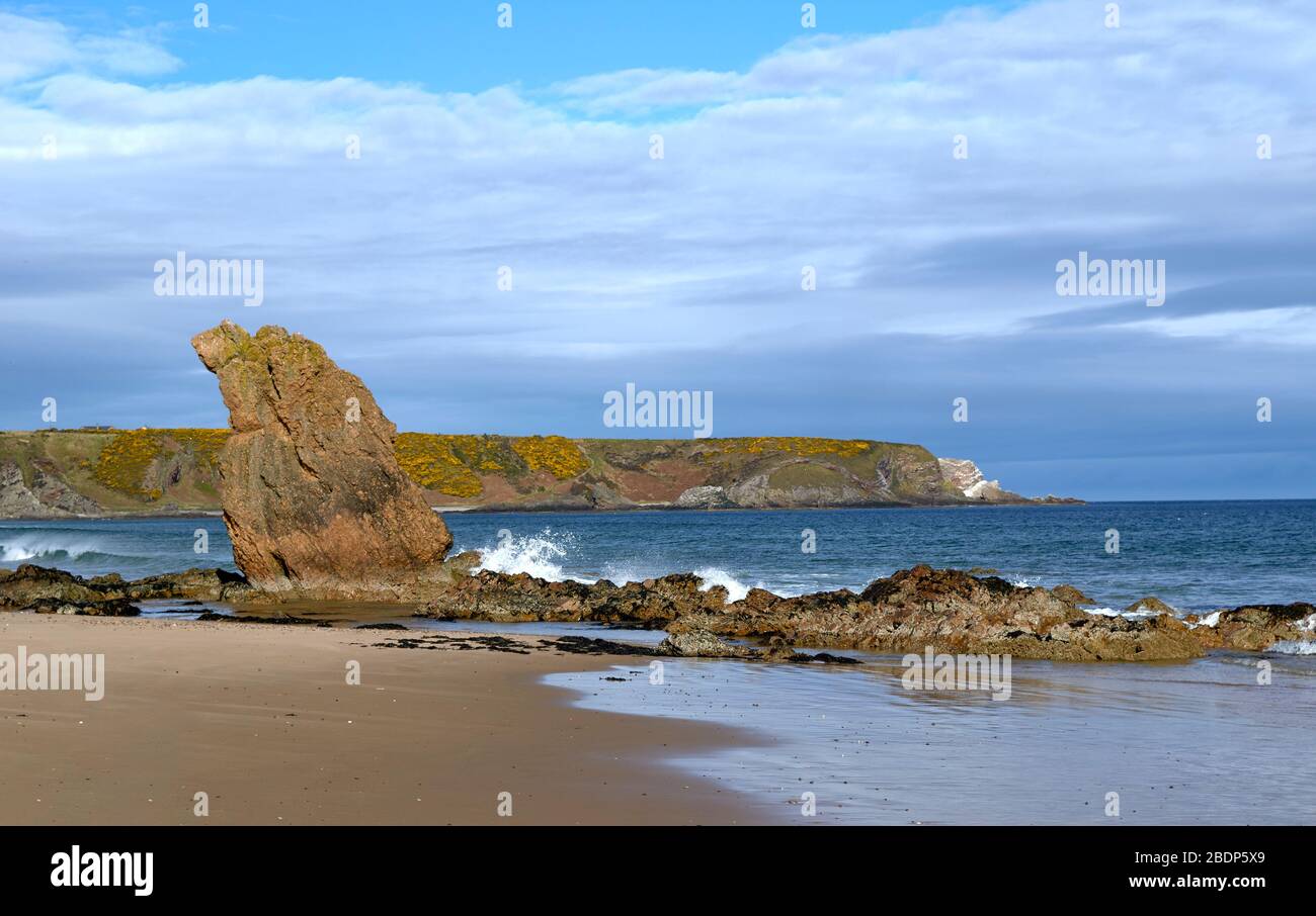 CULLEN BAY BEACH MORAY SCOTLAND A SEA STACK WITH WIND SWEPT WAVES ...