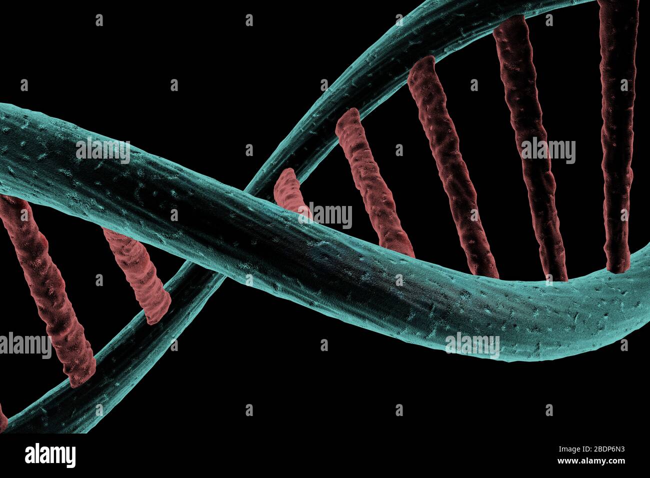 Microscopic view of dna chain strands, 3d rendering Stock Photo - Alamy