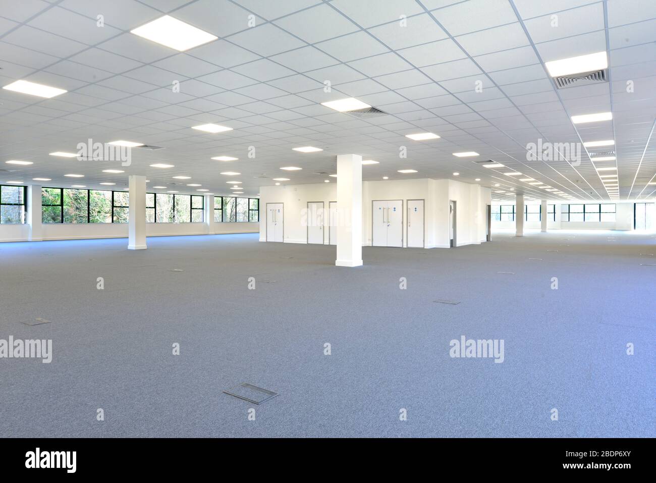 an empty office area available with grey carpet and lights on Stock ...