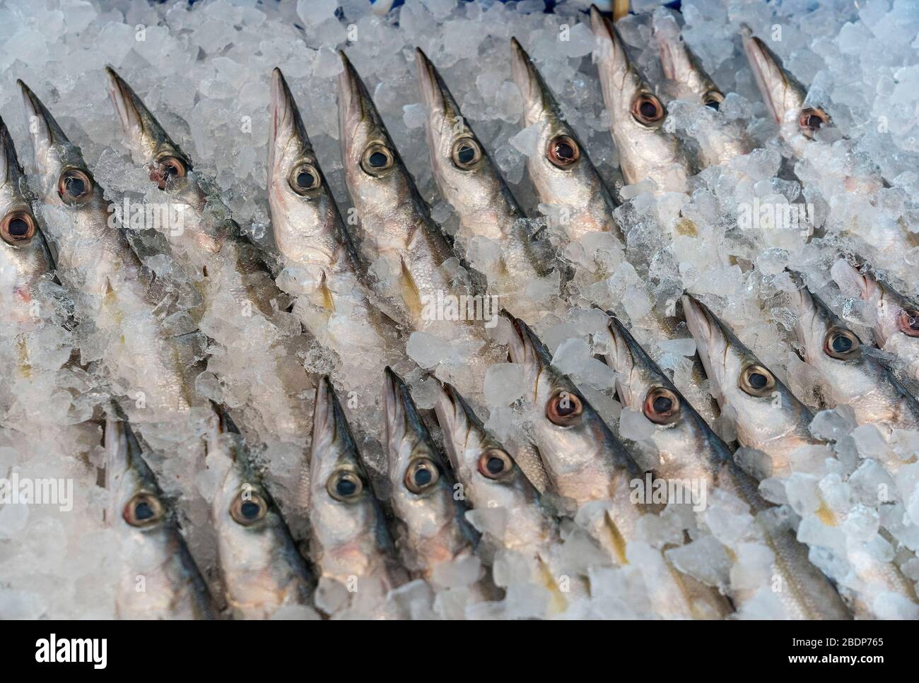 Little fish cafe hi-res stock photography and images - Alamy