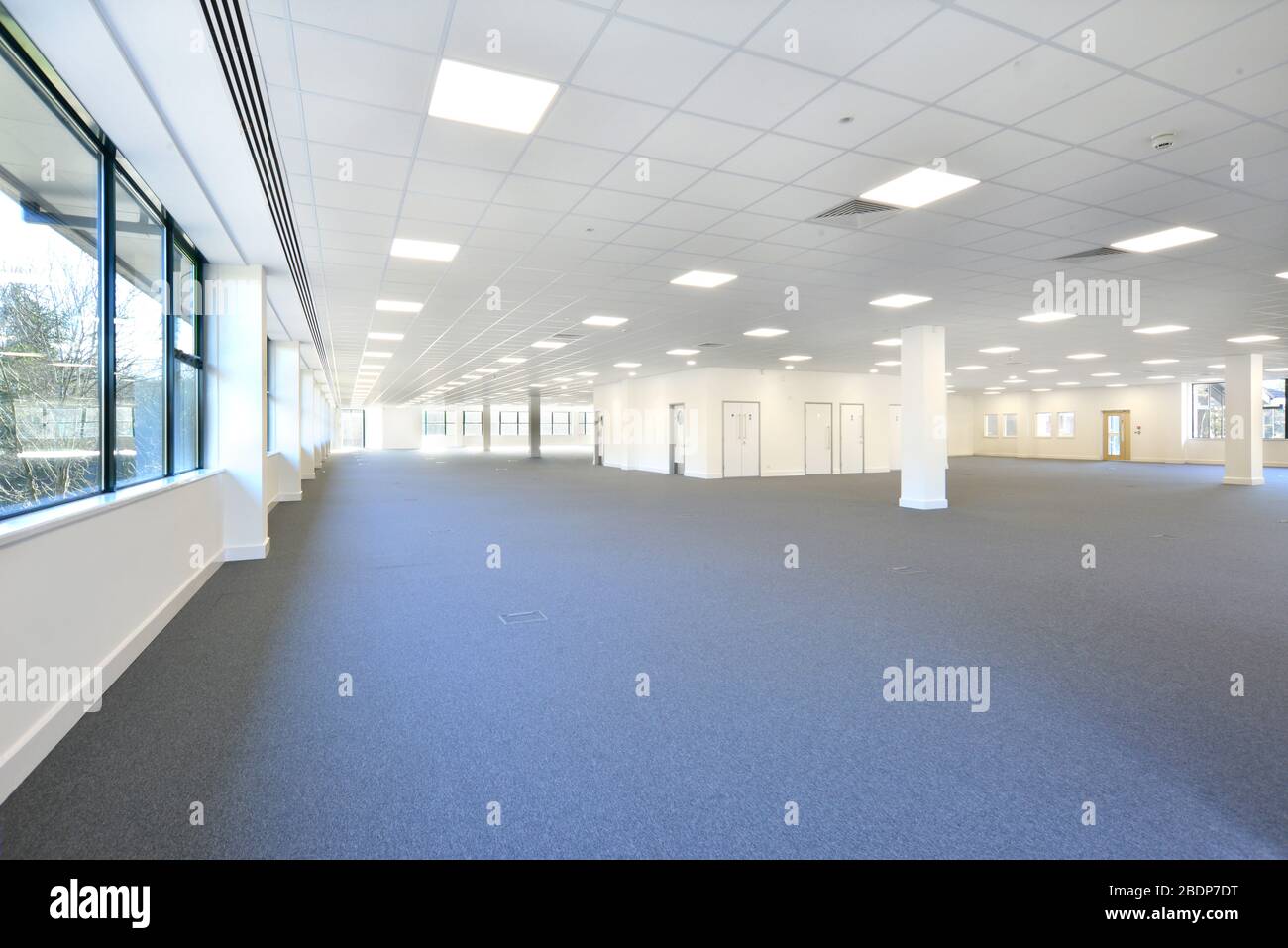 an empty office area available with grey carpet and lights on Stock ...