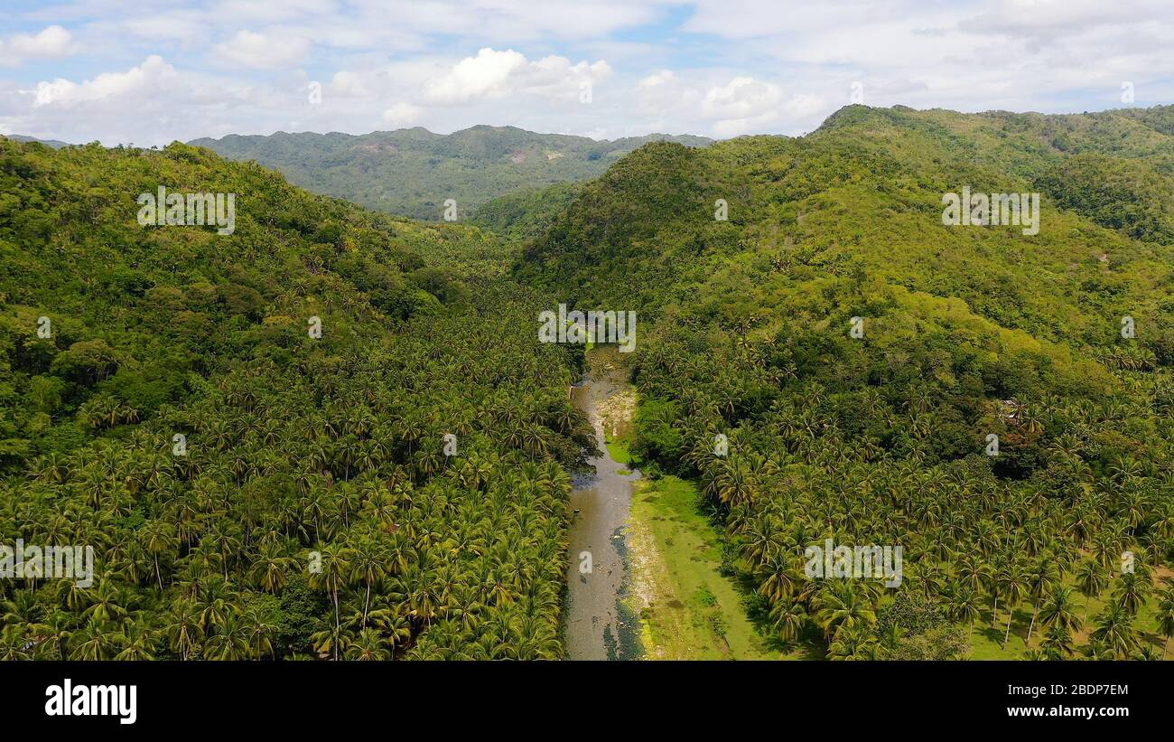 Leyte island covered rainforest philippines hi-res stock photography ...
