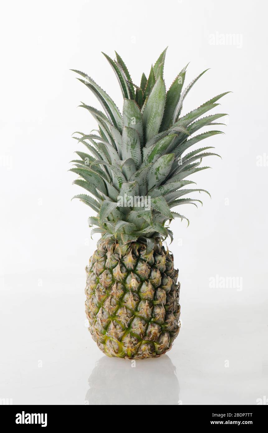 Shoot in studio hi-res stock photography and images - Alamy