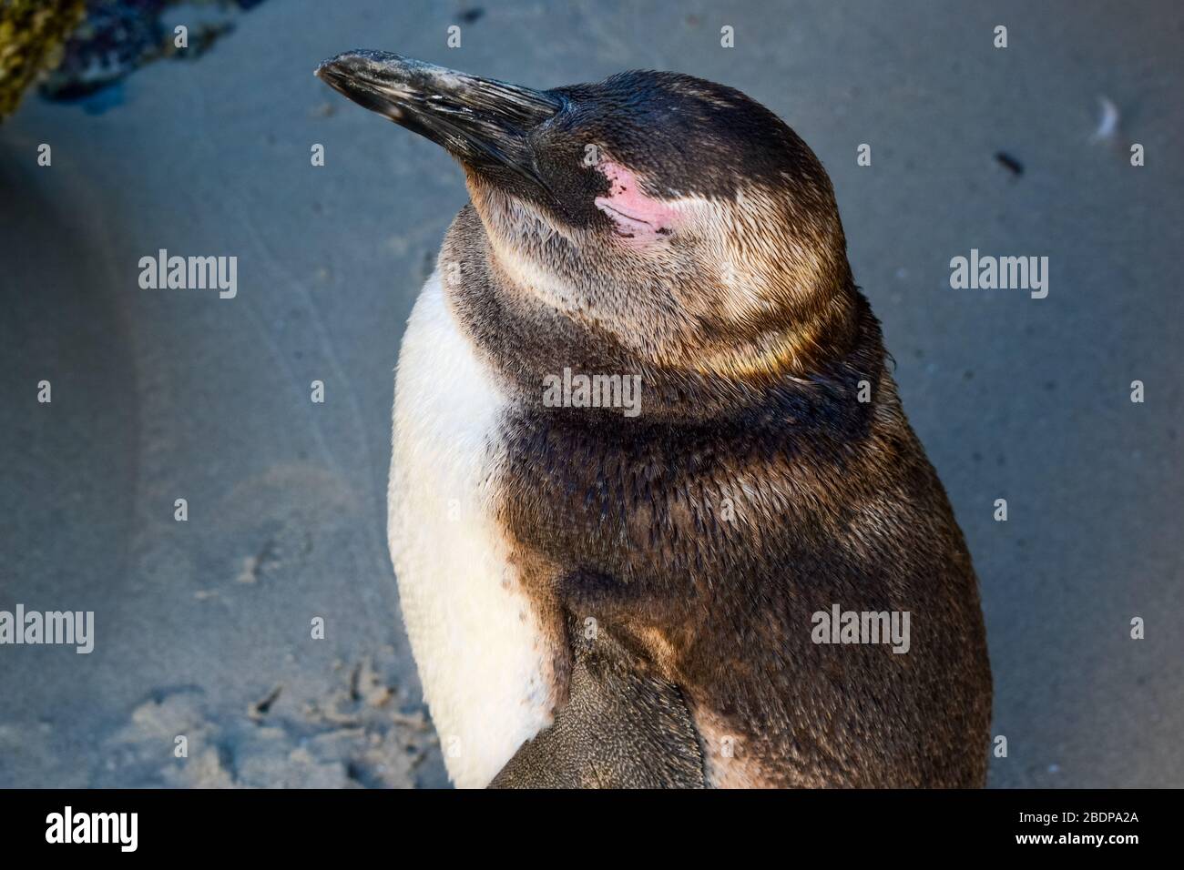 Nap of the earth hi-res stock photography and images - Alamy