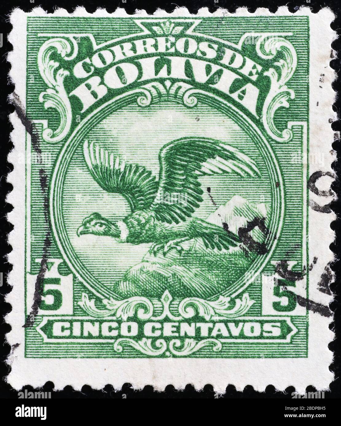 Andean condor on ancient bolivian postage stamp Stock Photo - Alamy