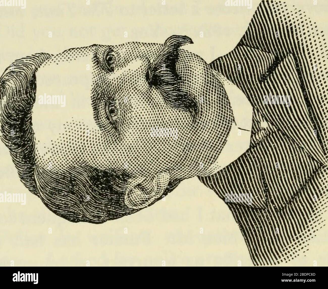 Delia king hi-res stock photography and images - Alamy