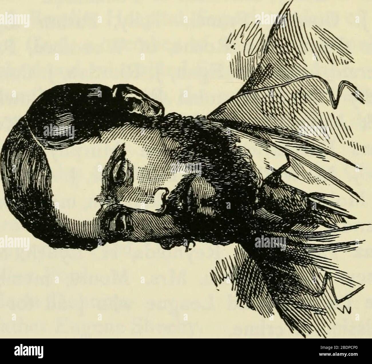 The uncrowned king : the life and public services of Hon. Charles ...