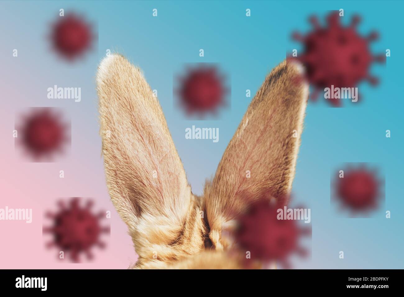 Beautiful rabbit ears on a abstract background easter 2020. Corona ...