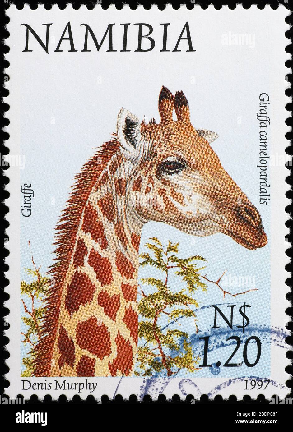 Head of Giraffe on namibian postage stamp Stock Photo - Alamy