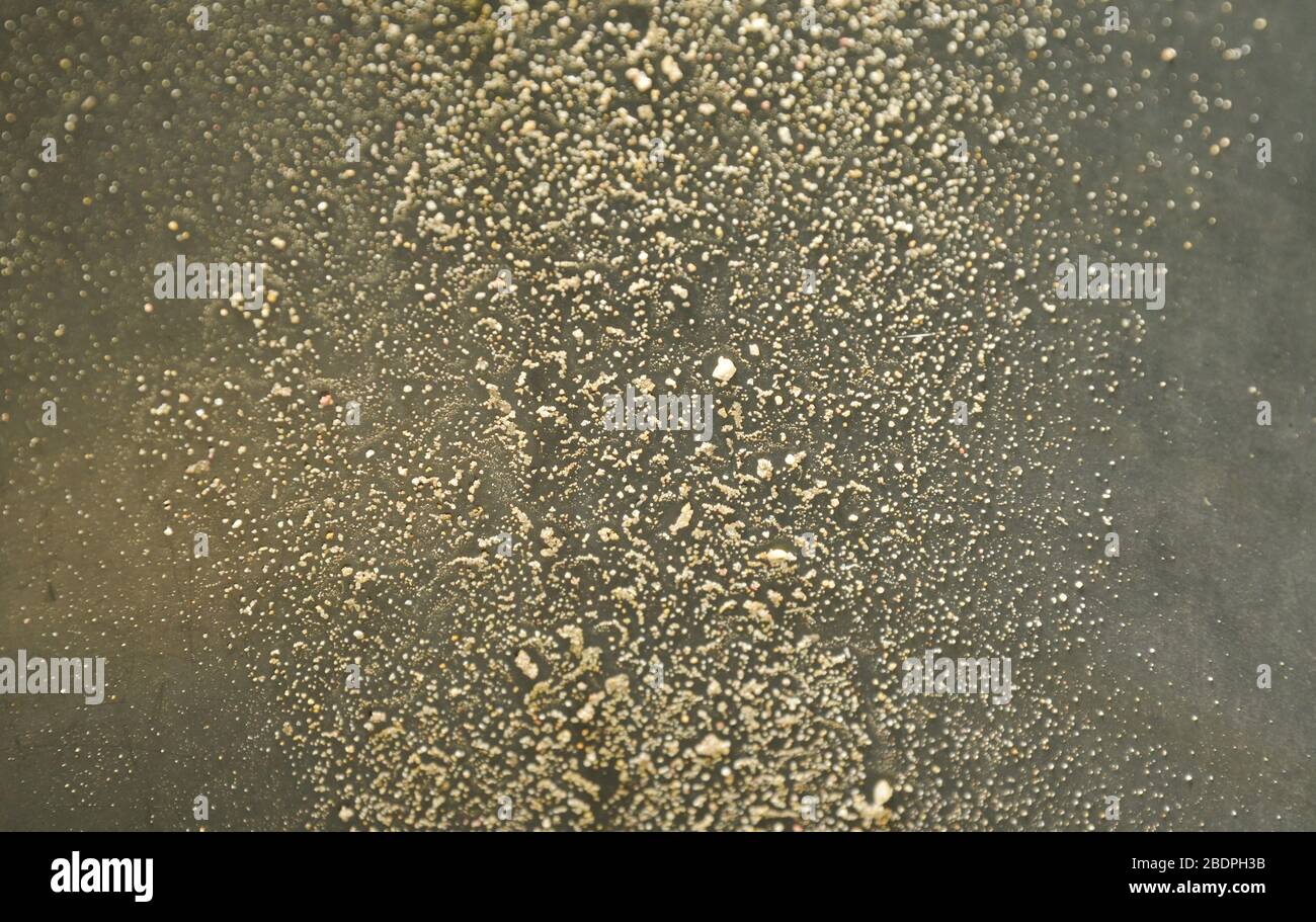 sand and dust stain on black plastic bin Stock Photo - Alamy