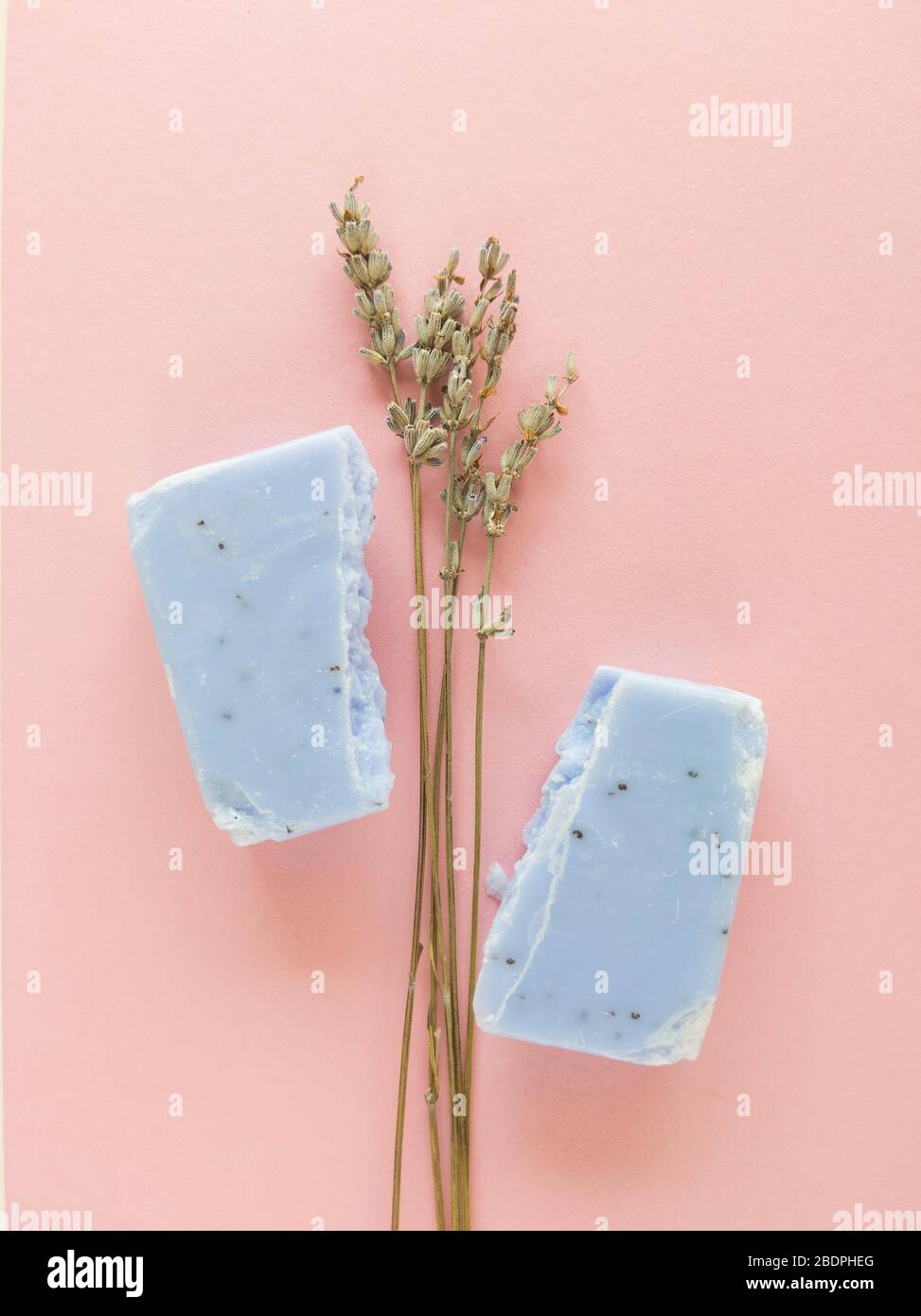 Homemade lavender soap bar and lavender flowers on pastel pink ...