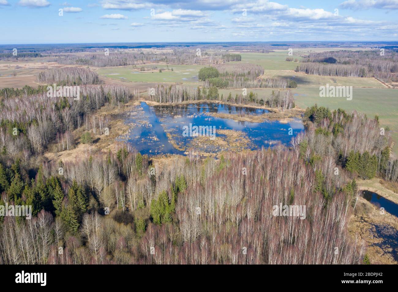 Aerial view of lake between forest and fields Stock Photo - Alamy