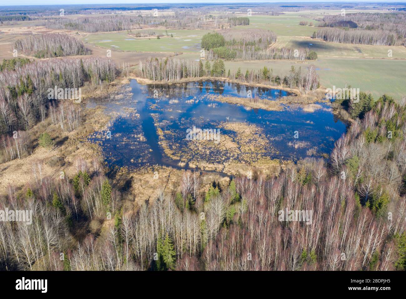 Aerial view of lake between forest and fields Stock Photo - Alamy