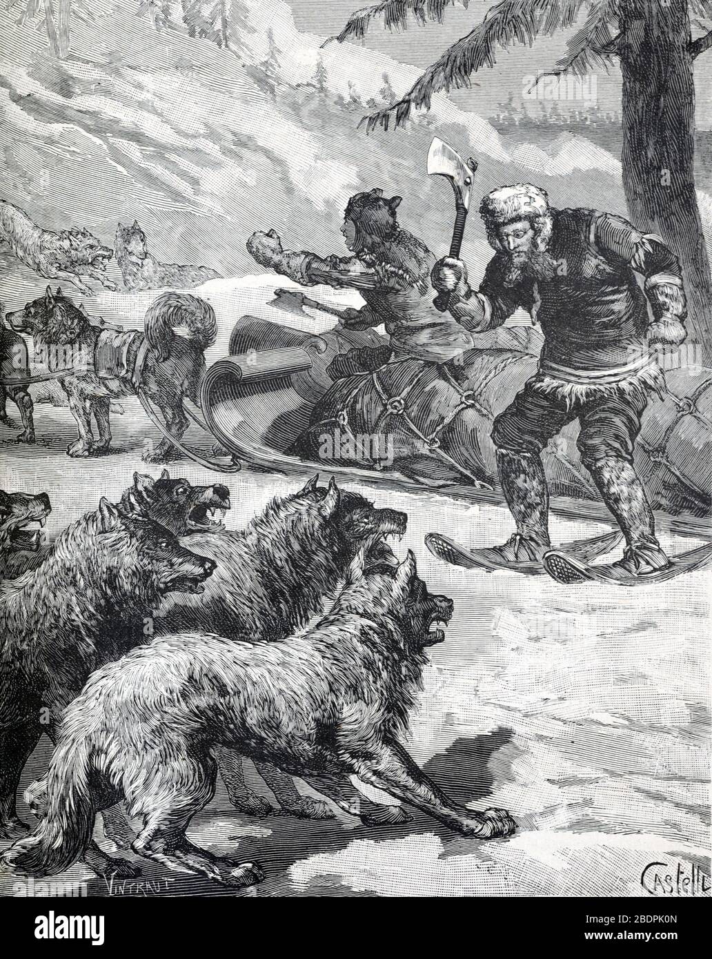 Canadian Wolf Attacks