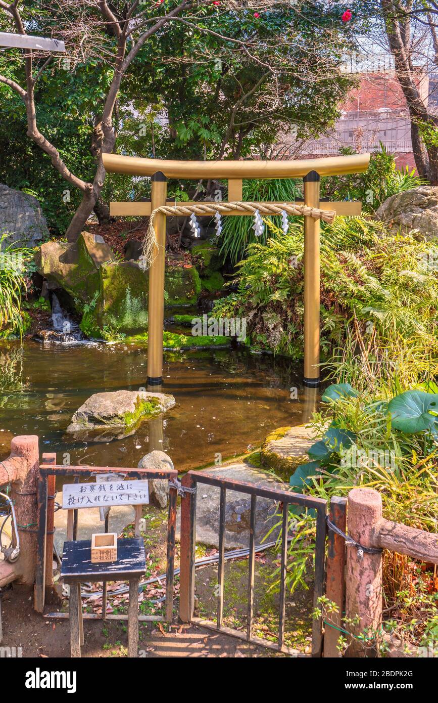 Torii gate with shimenawa hi-res stock photography and images - Alamy