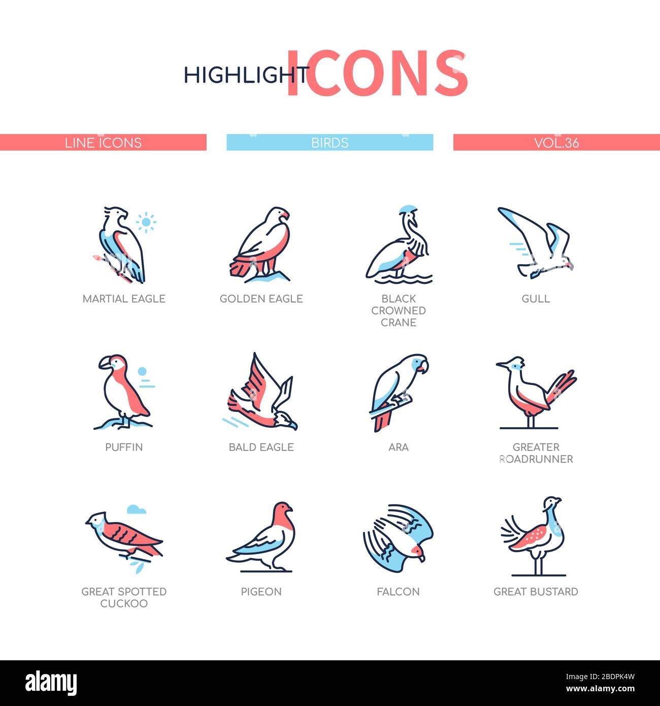 Variety of bird species Stock Vector Images - Alamy
