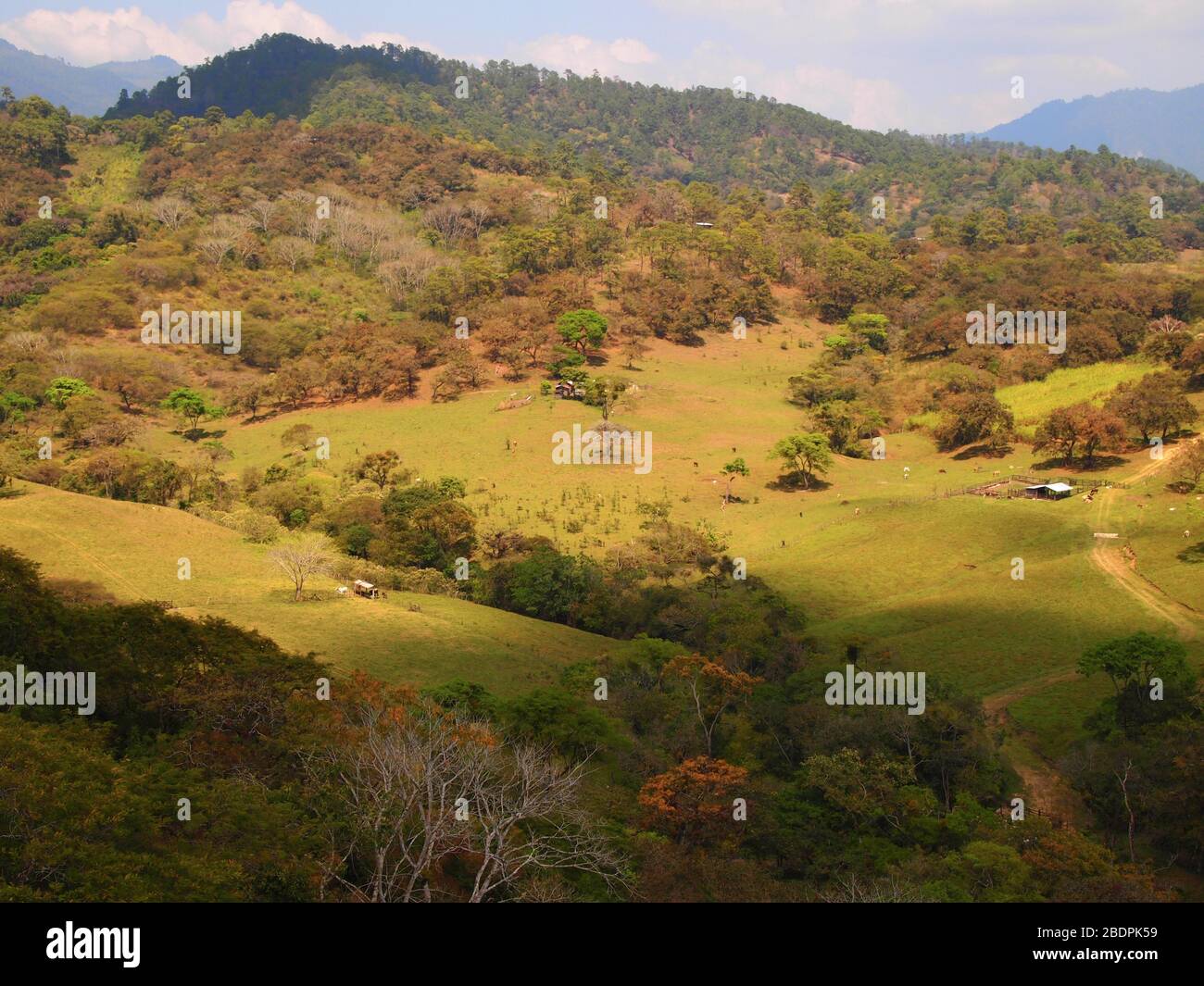 Tropical submontane forests near Toniná archeological site in Chiapas ...