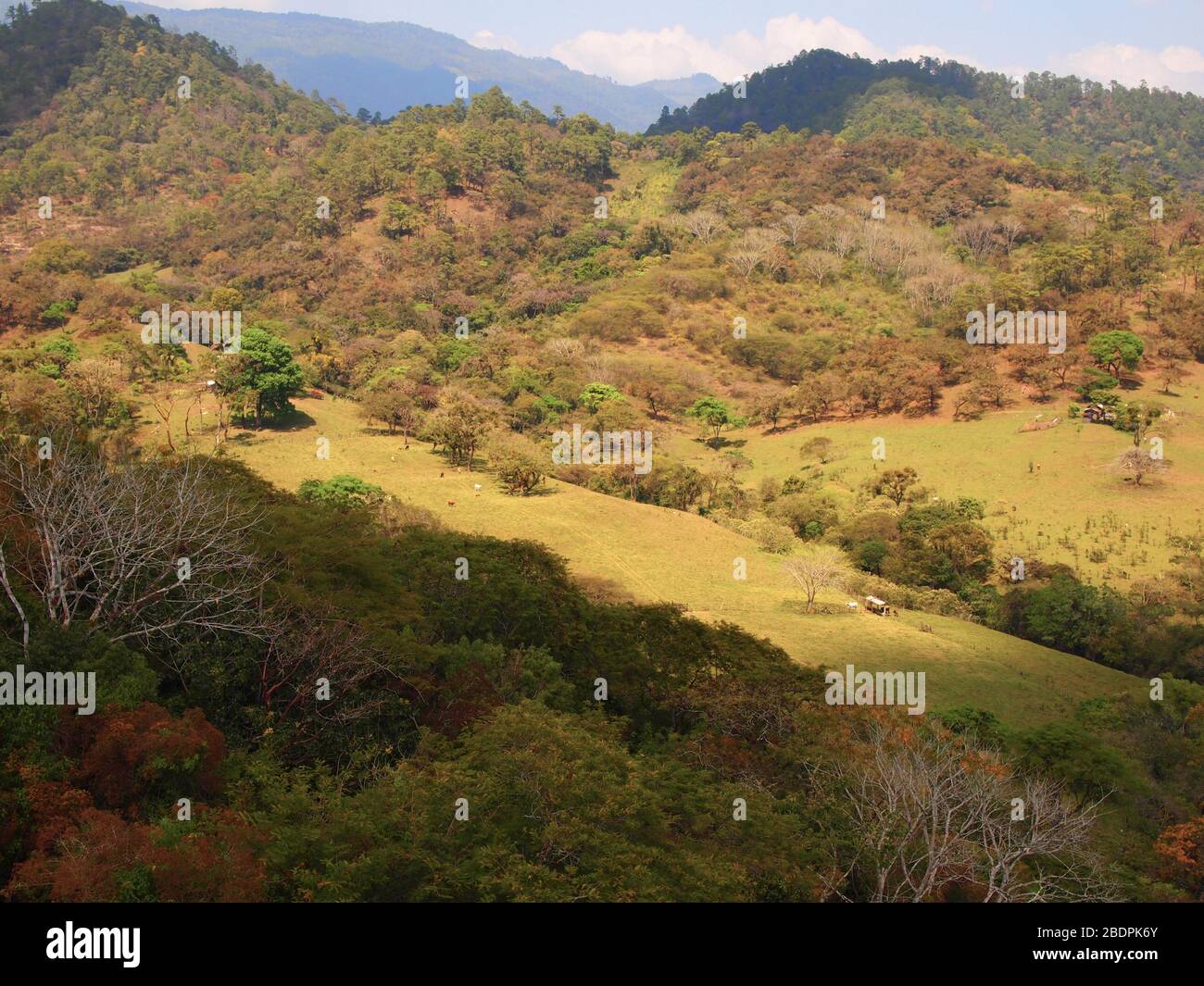 Selva tropical de chiapas hi-res stock photography and images - Alamy
