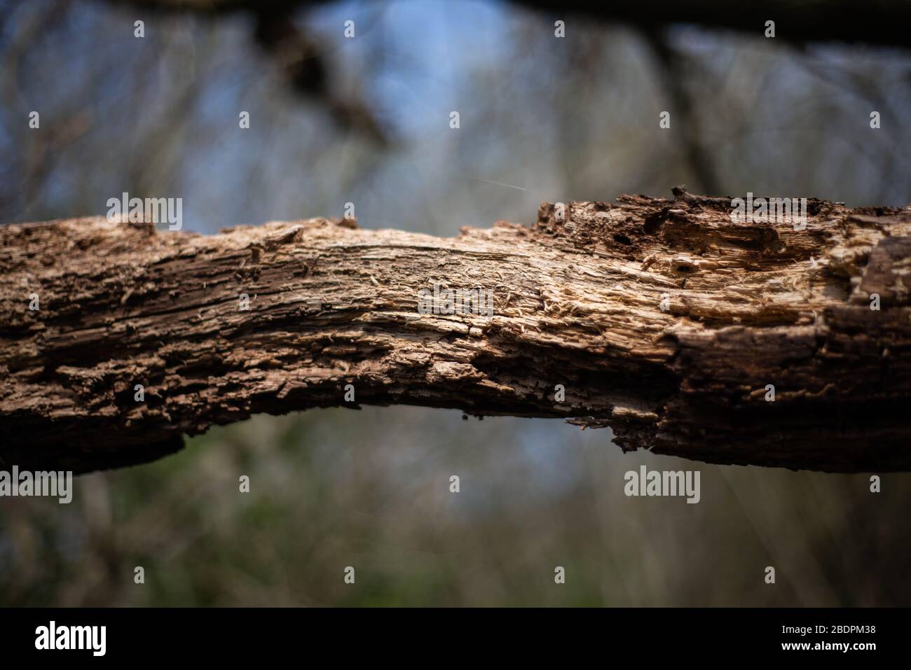 Old rotting wood hi-res stock photography and images - Alamy