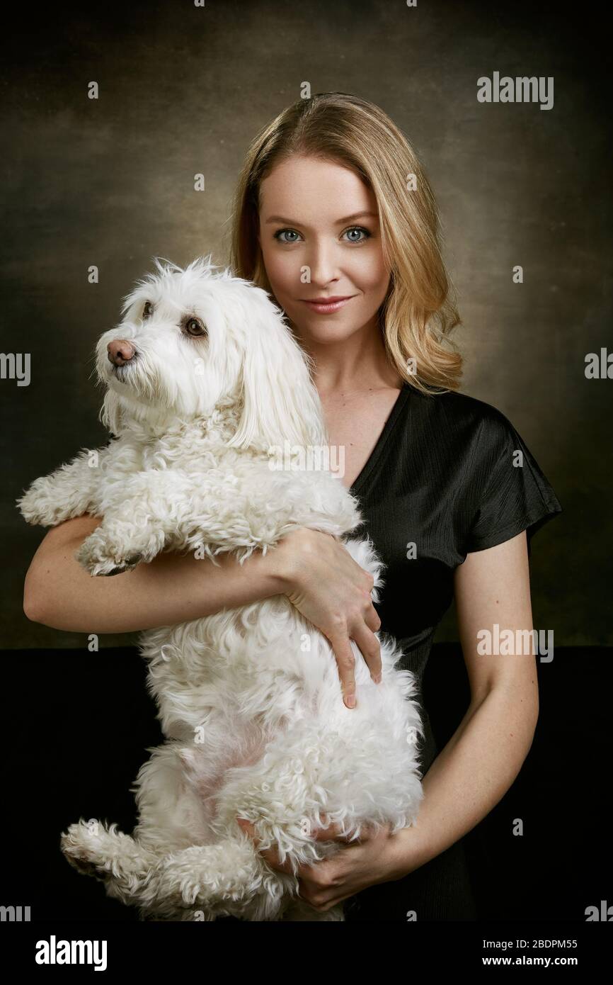 Professional dog model hi-res stock photography and images - Alamy