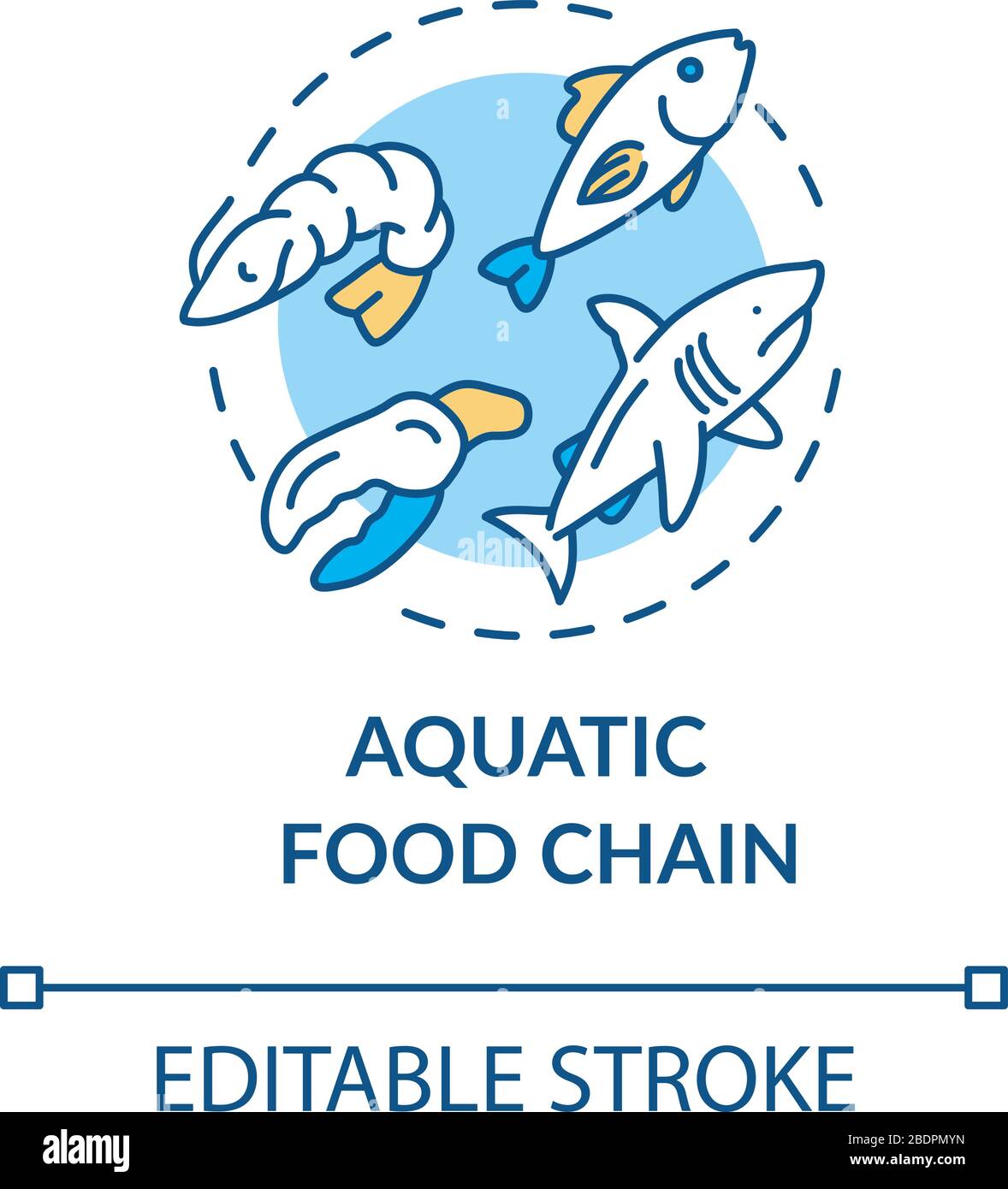 Marine Ecosystem Food Web With Trophic Levels