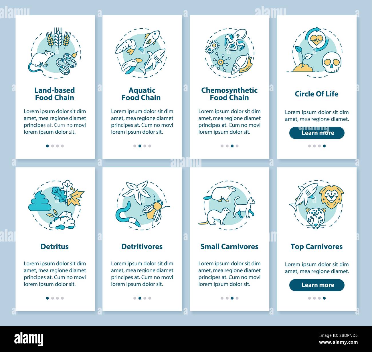 Four Step Land Food Chain