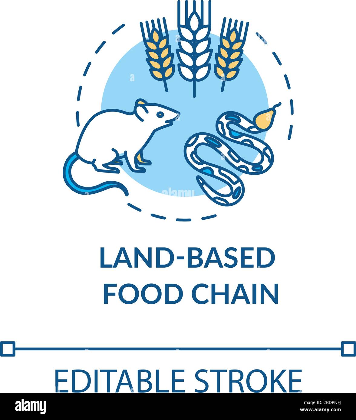 Land based food chain concept icon. Energy producer and consumers ...