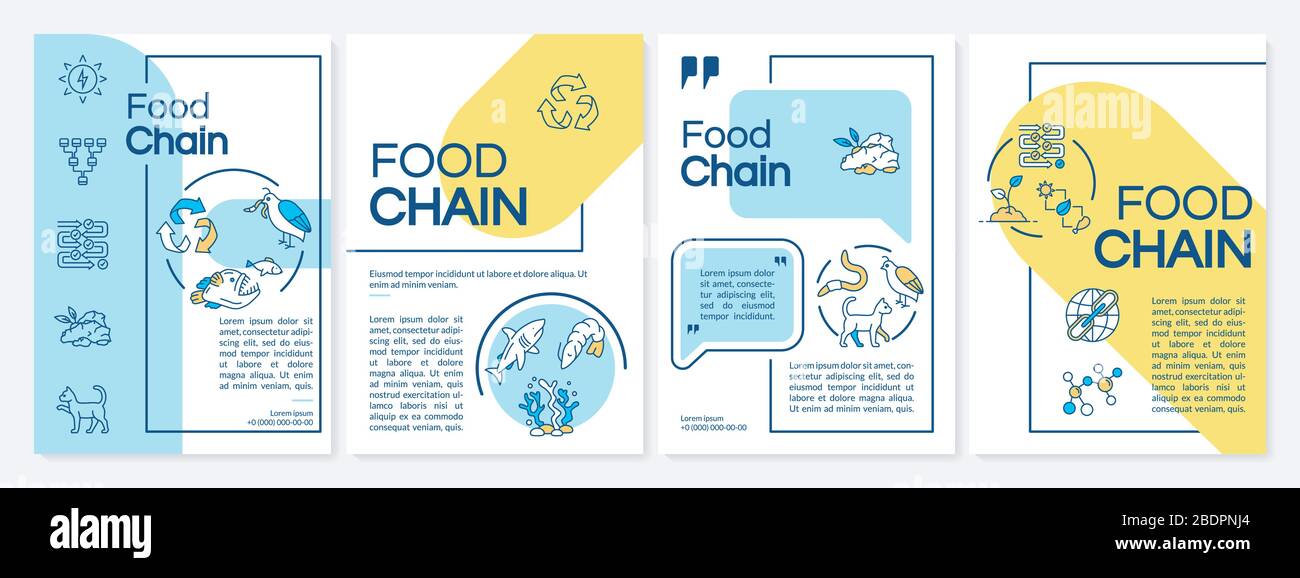 Food web brochure template. Producers and consumers. Flyer, booklet ...