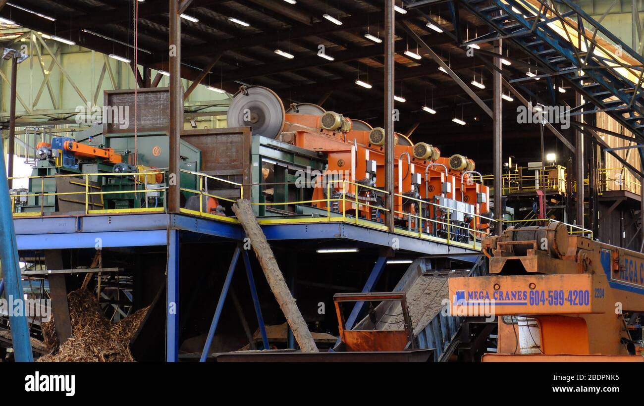 An optimized Log Bucking System is seen at J.S. Jones small log mill ...