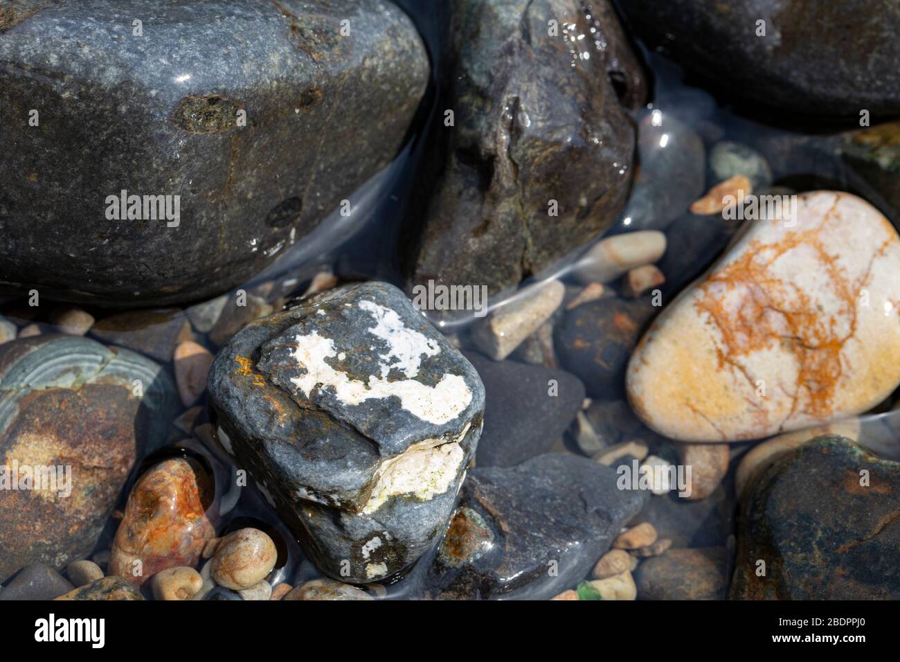 close up wet pebbles on the beach, East seaside Korea Stock Photo - Alamy