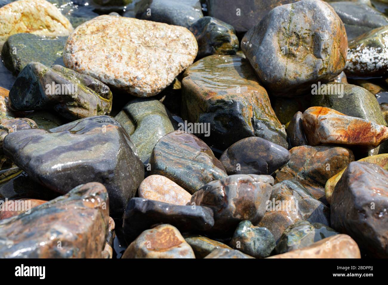 Wet pebbles on the beach hi-res stock photography and images - Alamy