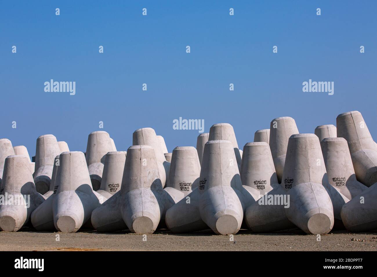 Tetrapods hi-res stock photography and images - Alamy