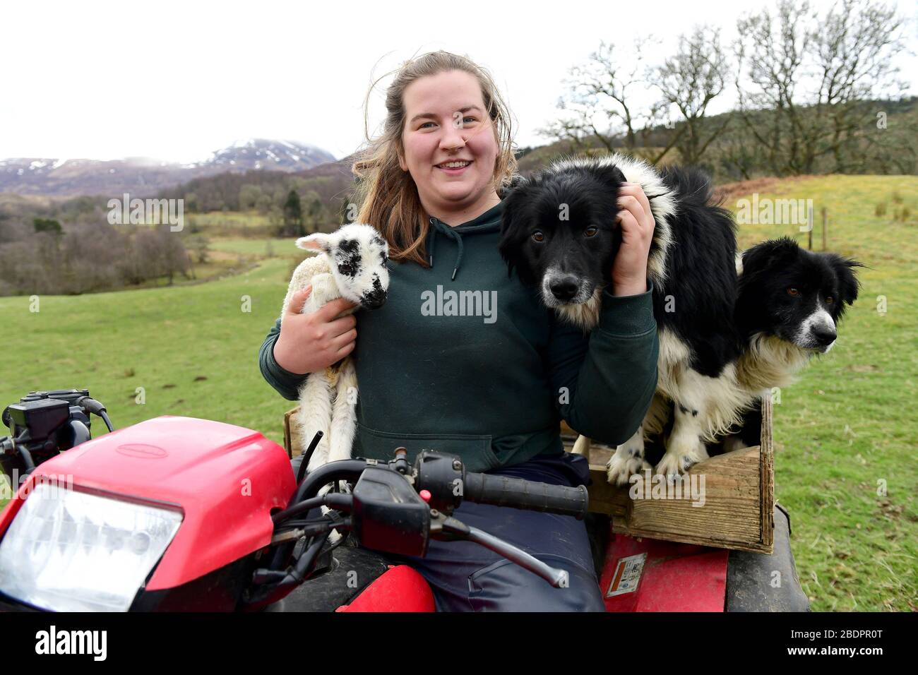 EDITORIAL USE ONLY Chloe Malcolm, aged 25, tends to a new lamb as she ...