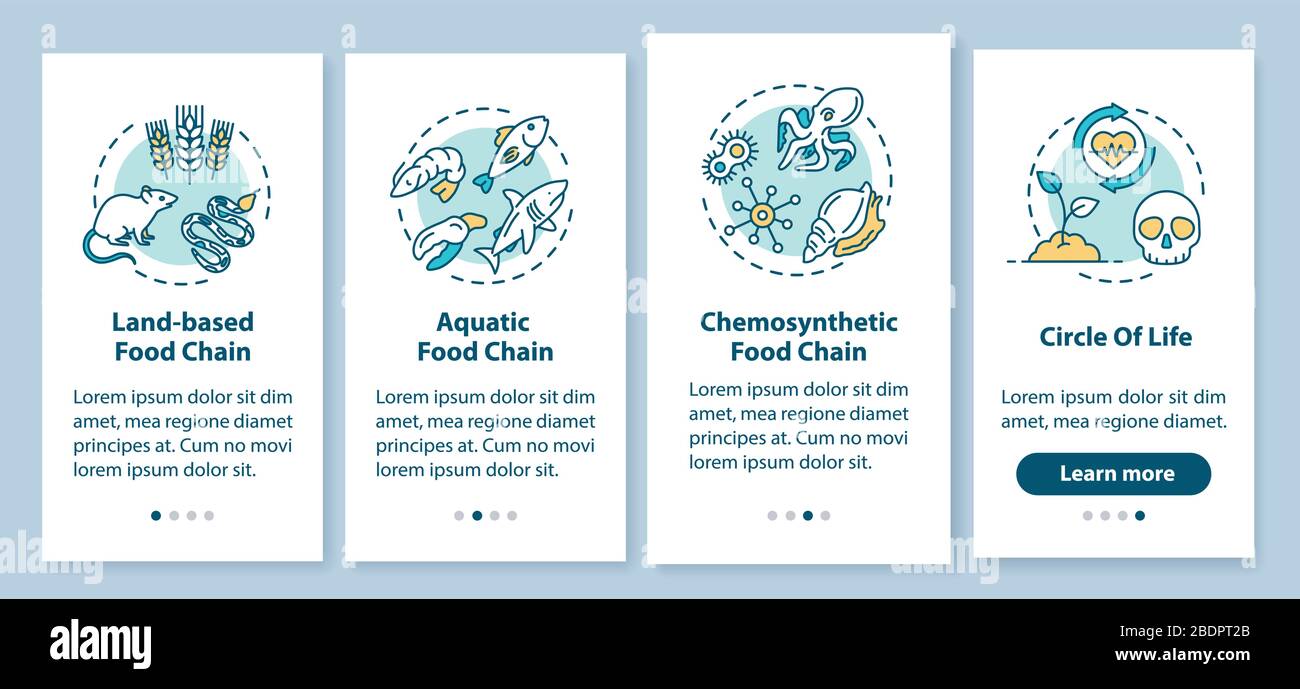 Four Step Land Food Chain