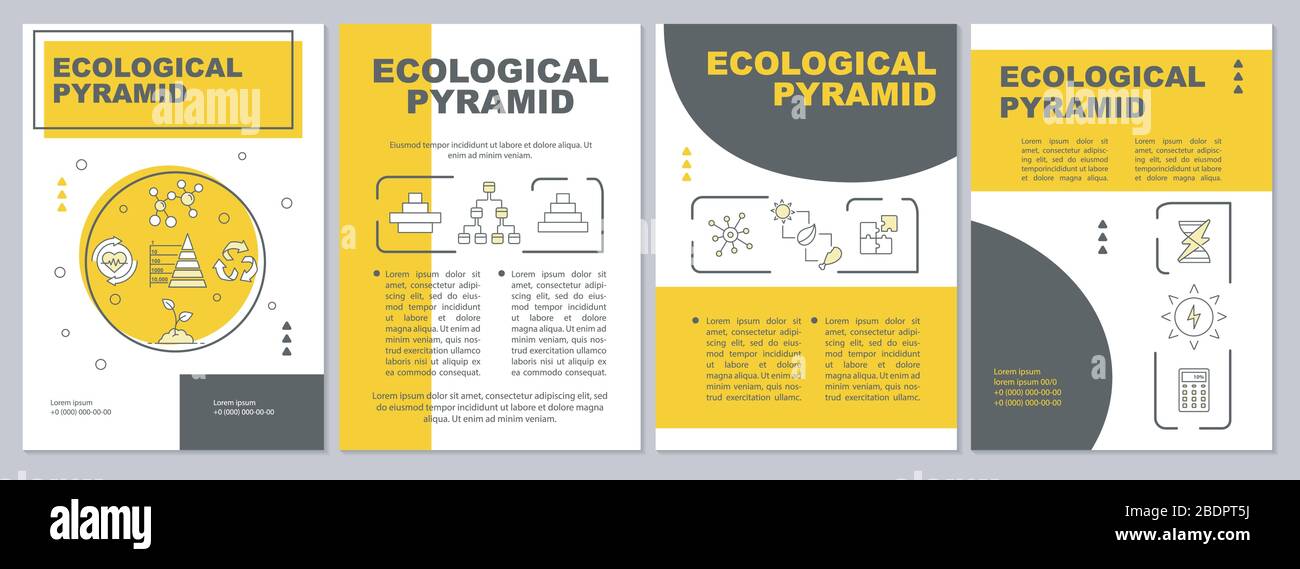 Trophic pyramid brochure template. Ecology, energy and biomass. Flyer ...
