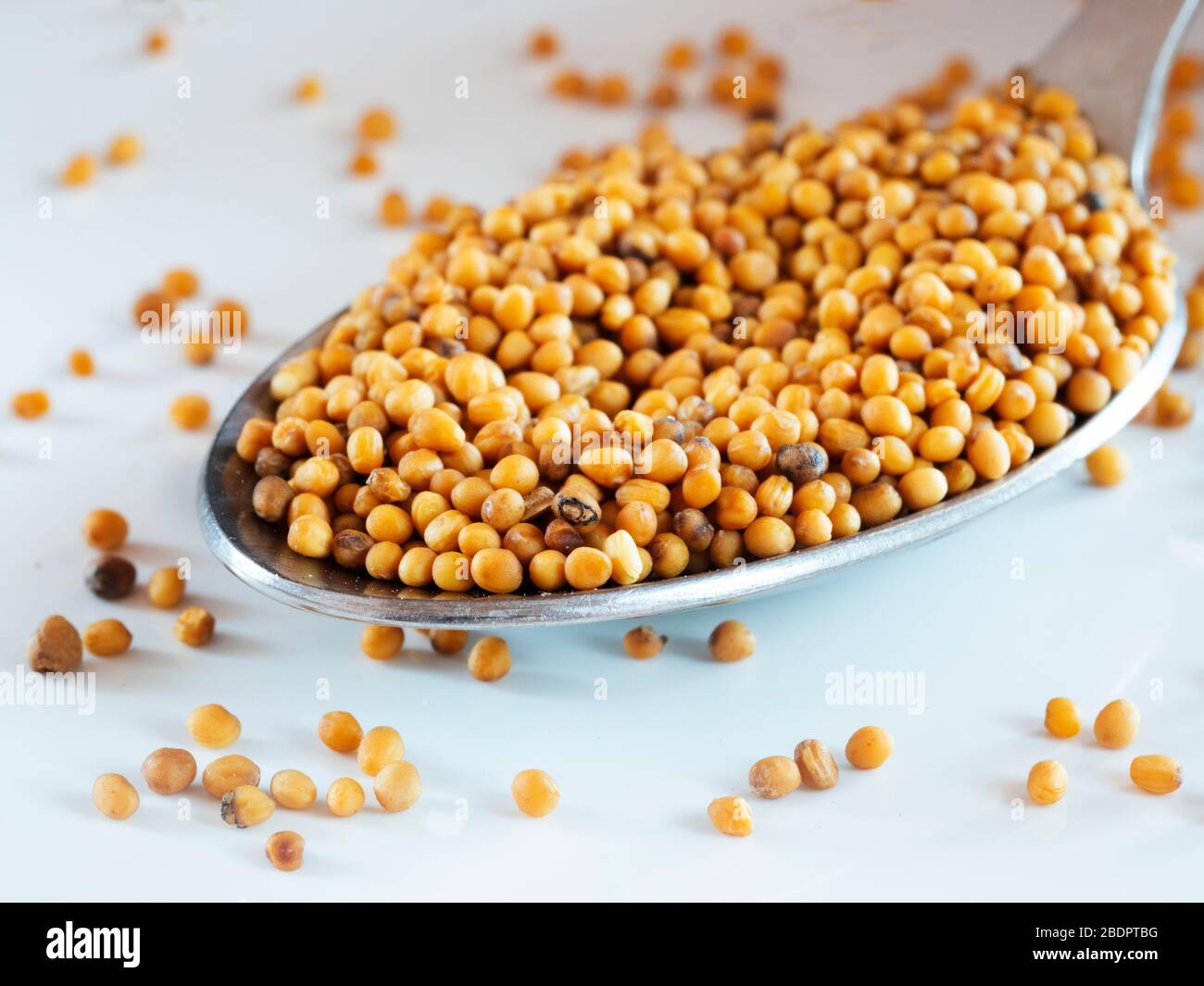 Mustard Seeds Spoon on white background Stock Photo - Alamy