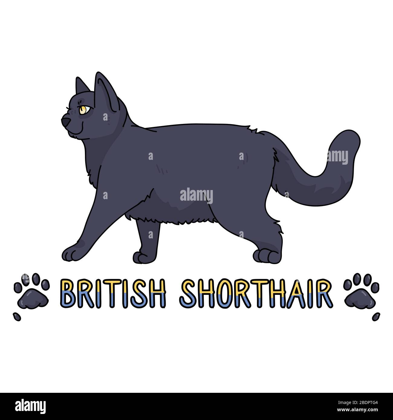 Cute cartoon British shorthair cat with text vector clipart. Pedigree ...