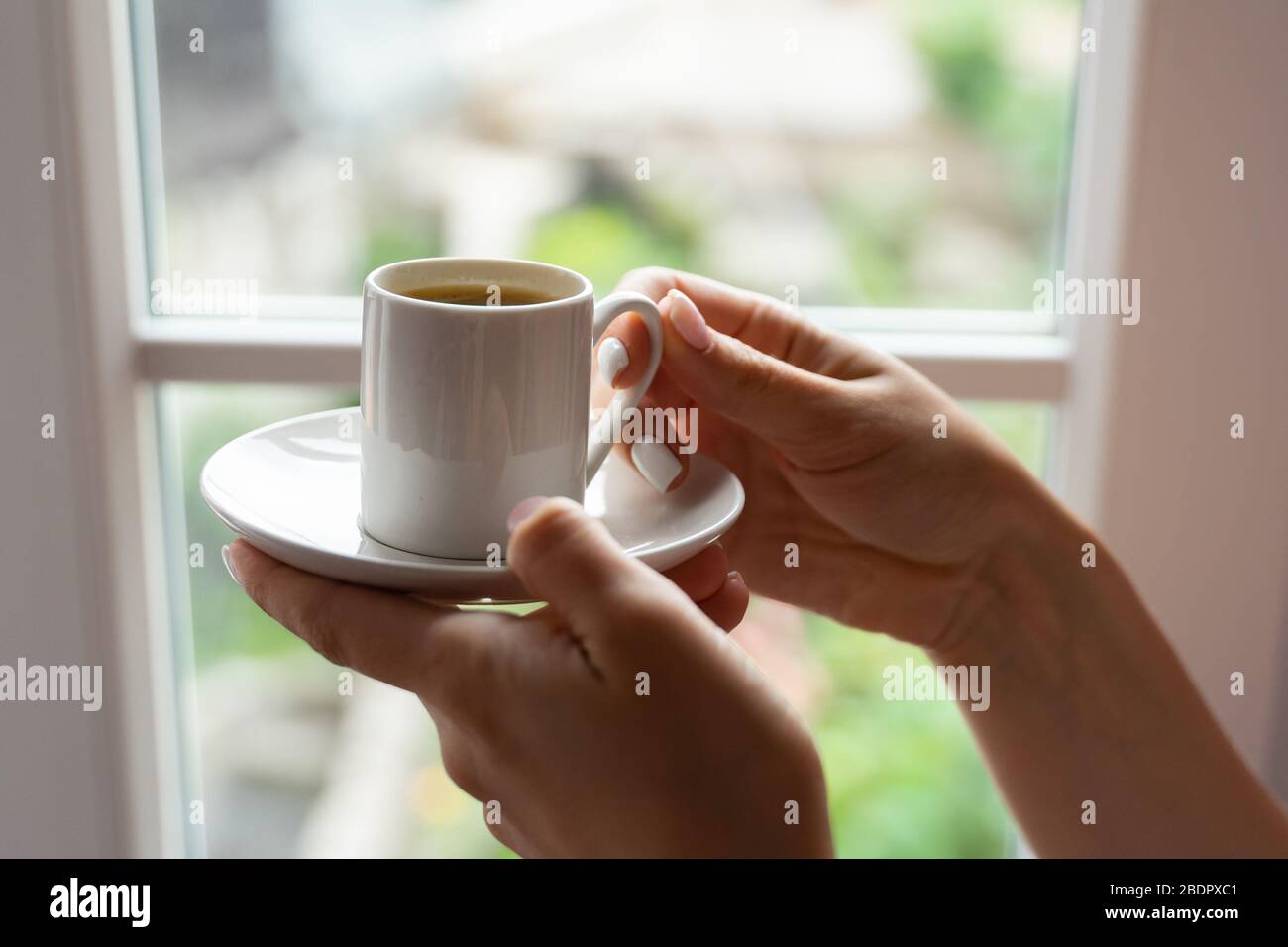 woman hands holding cup of coffee near window in morning sunlight Stock ...