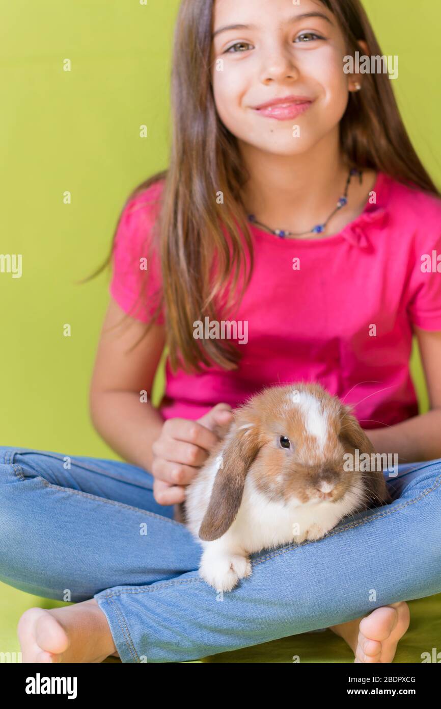 Little girl playing with her pet rabbit on her legs in a studio, with ...